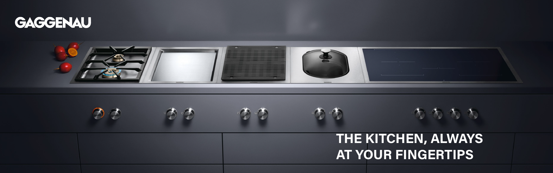 Gaggenau Built in kitchen appliances in Hyderabad, Vizag & Kochi ...